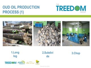 Oud Oil Production | PPTX