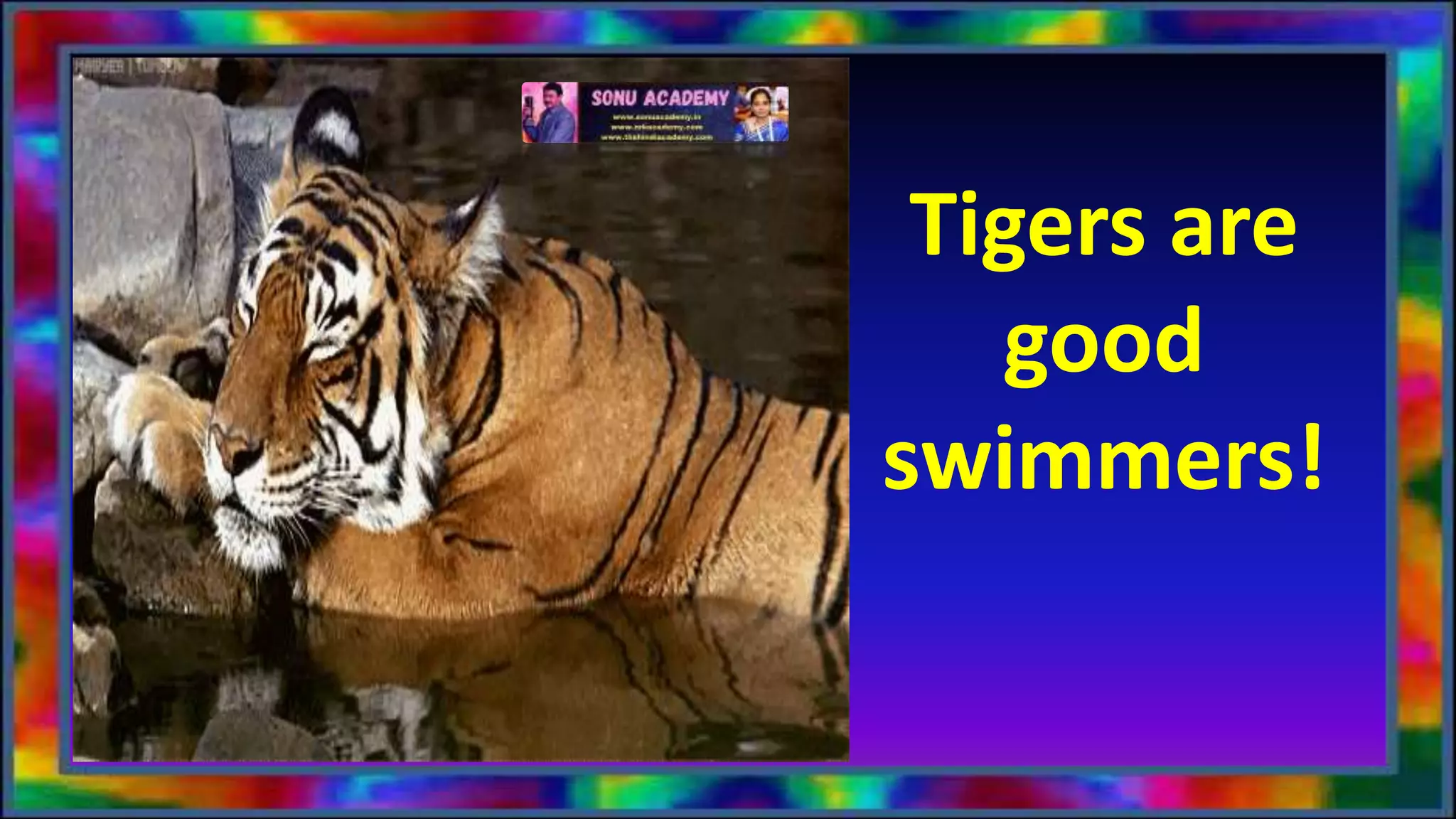 Amazing Facts about Animals -2 | Interesting facts | PPTX