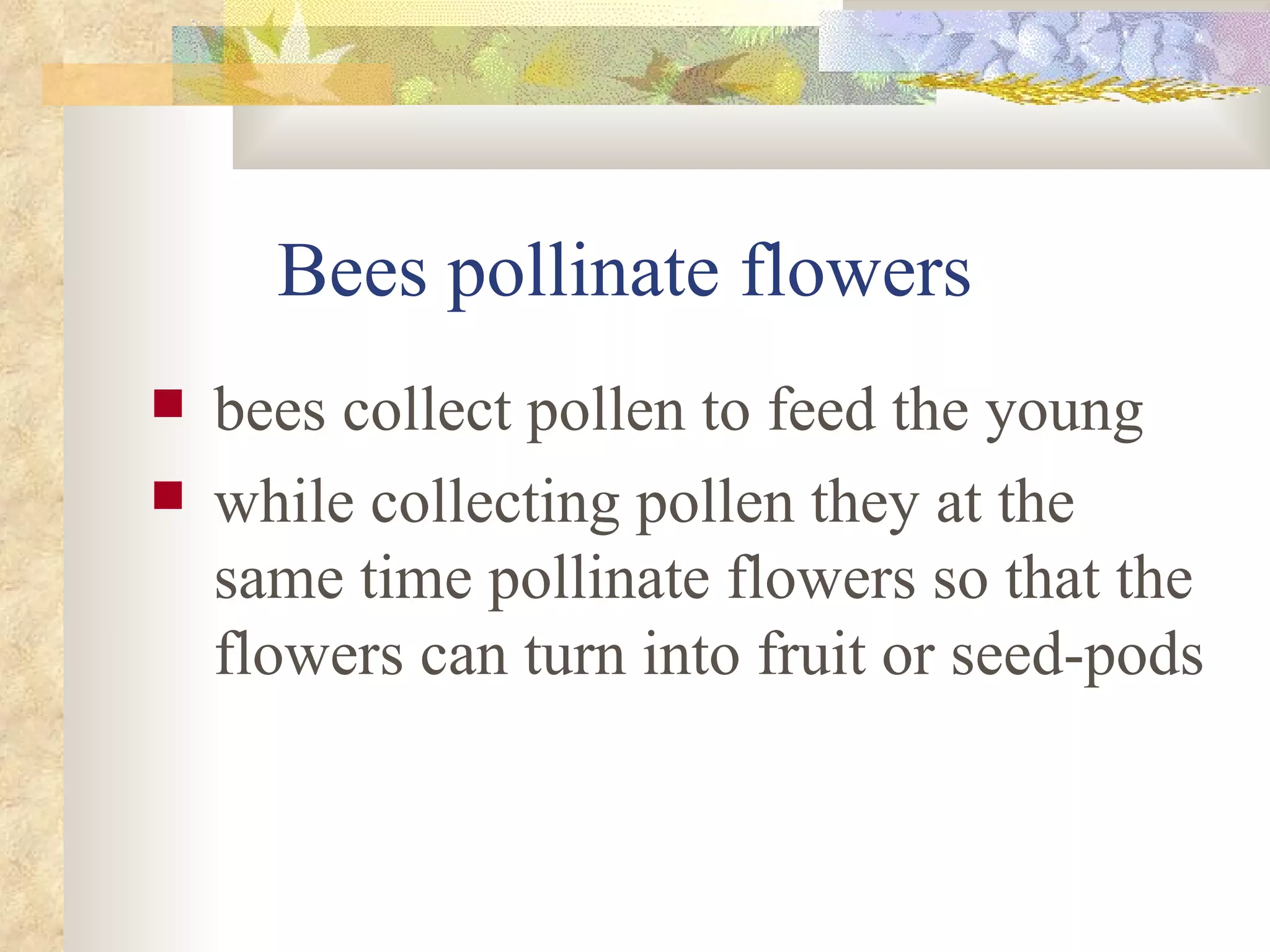 Facts About Bees | PPT