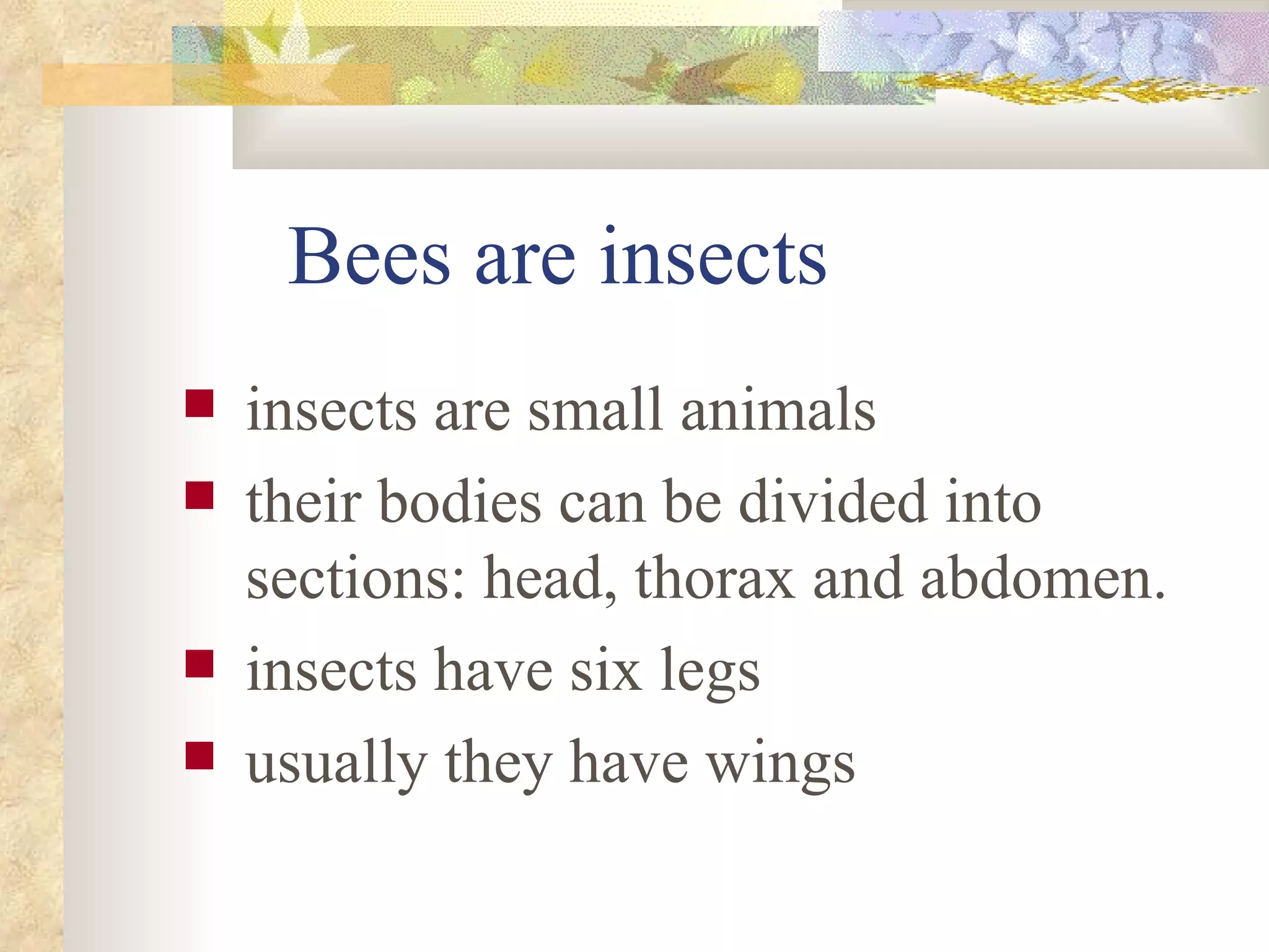 Facts About Bees | PPT