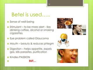 Facts about the Dangers of Betel Nut Chewing | PDF