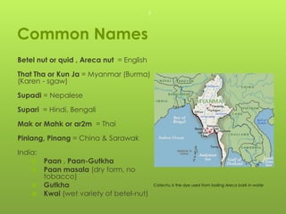 Facts about the Dangers of Betel Nut Chewing | PDF