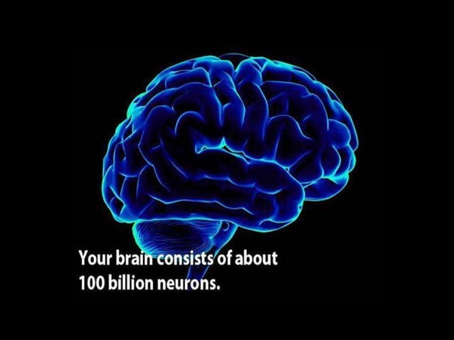 Facts about human brain | PPTX