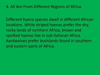 Facts about Hyenas.pptx