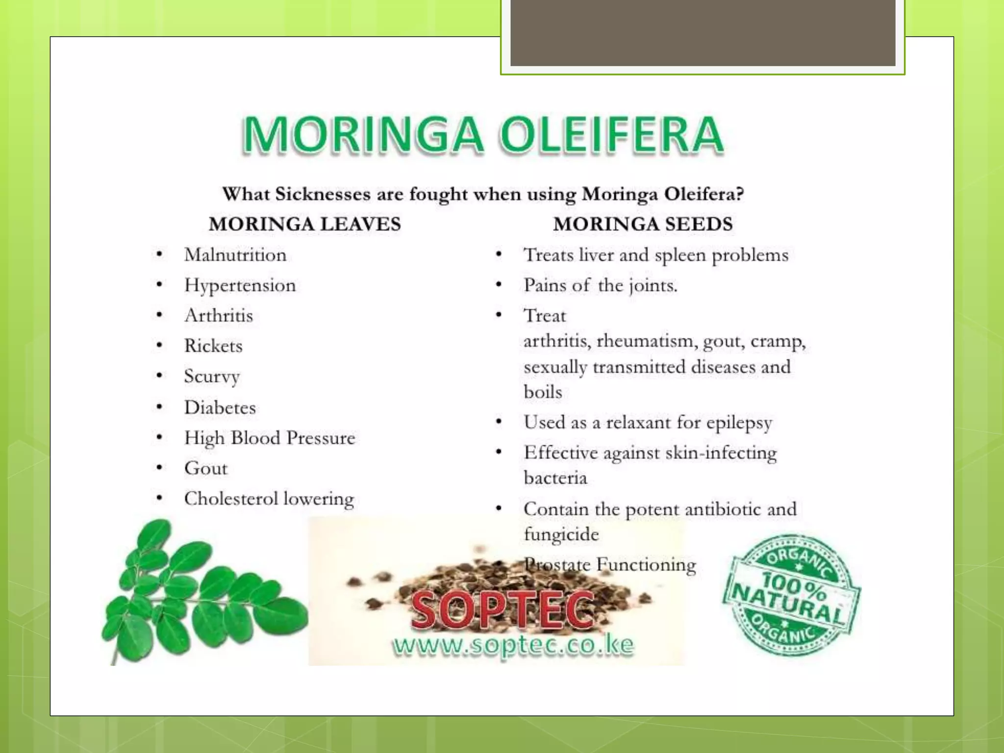 Facts about moringa oleifera by mr Allah Dad Khan Visiting professor he University of ...