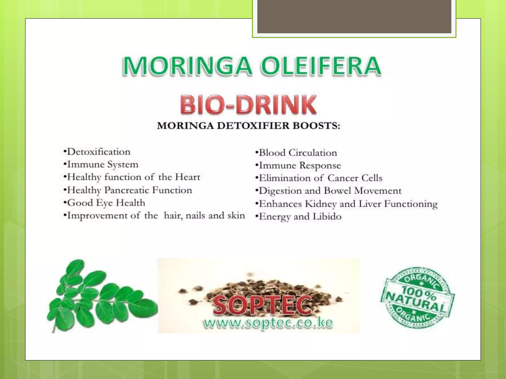 Facts about moringa oleifera by mr Allah Dad Khan Visiting professor he University of ...