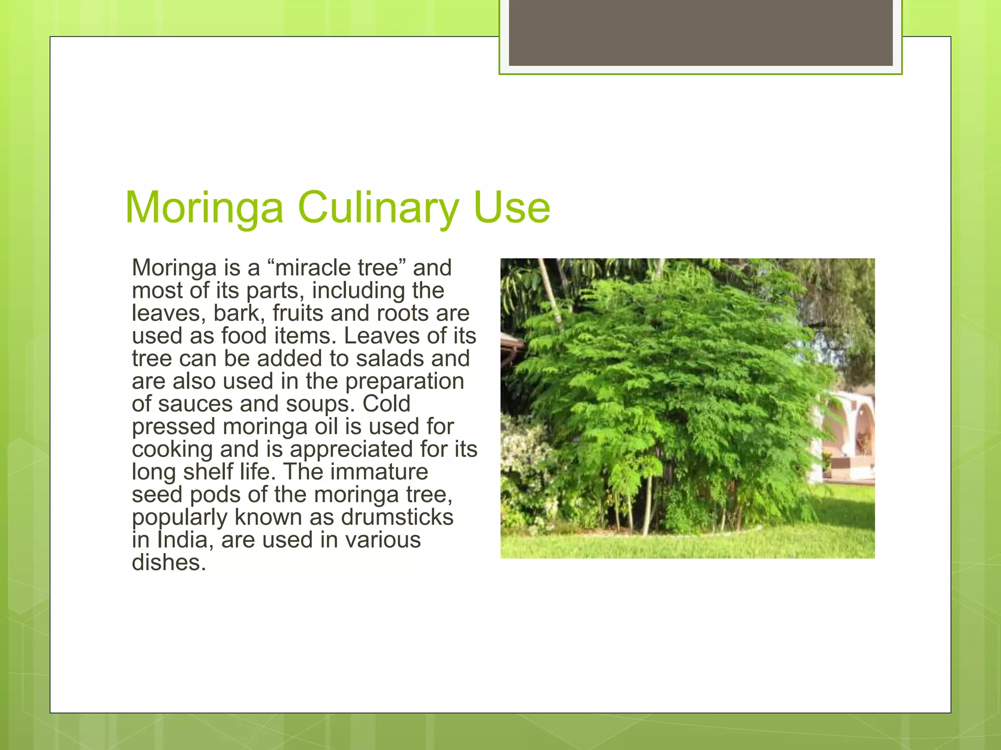 Facts about moringa oleifera by mr Allah Dad Khan Visiting professor he ...