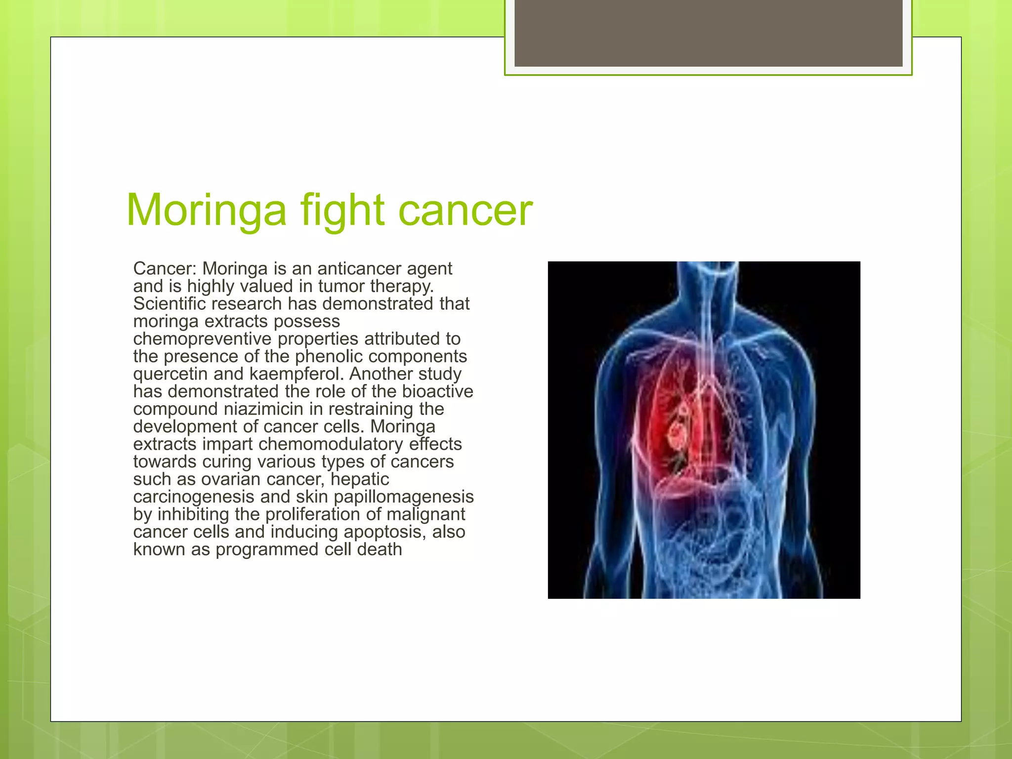 Facts about moringa oleifera by mr Allah Dad Khan Visiting professor he ...