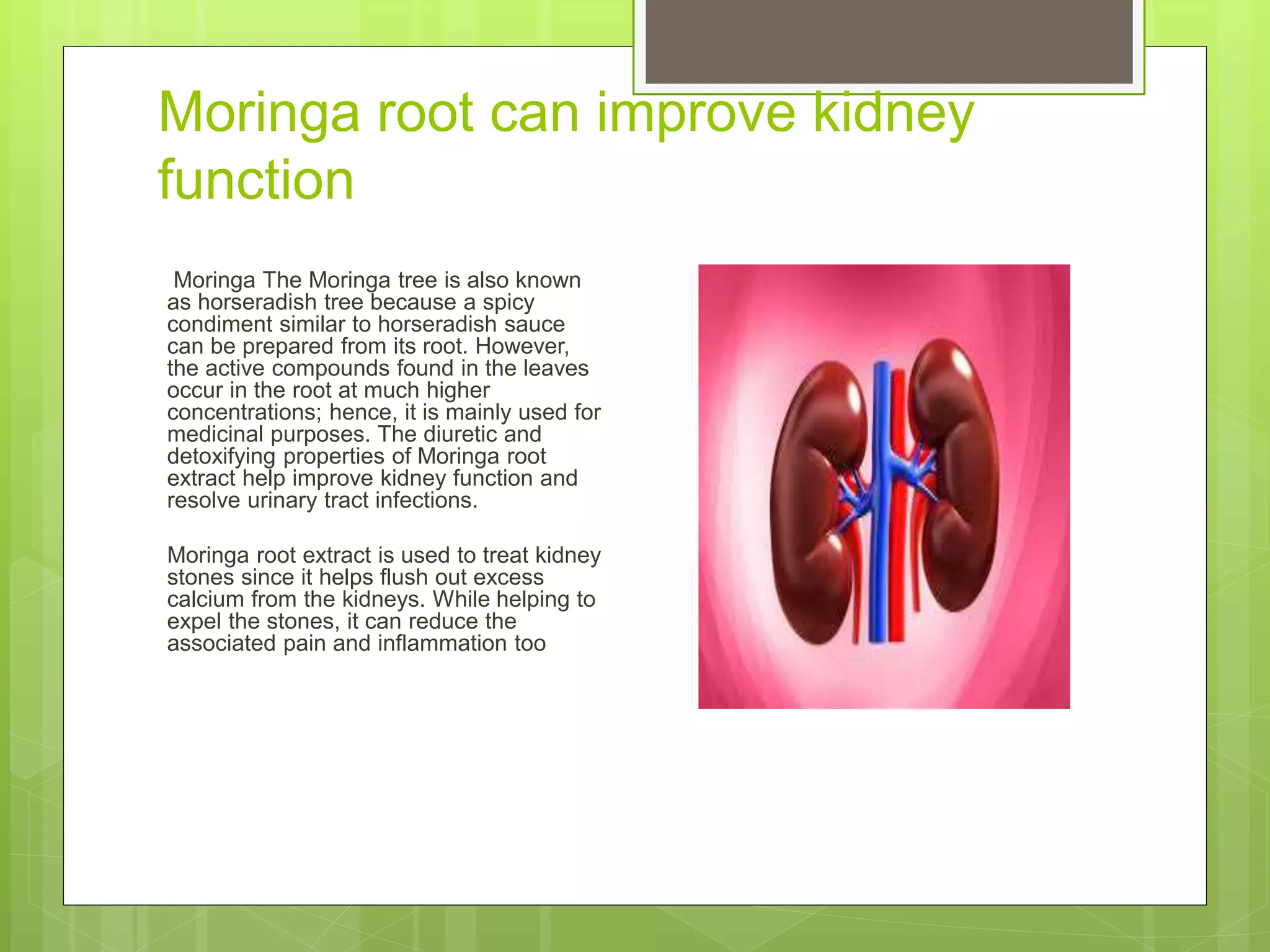 Facts about moringa oleifera by mr Allah Dad Khan Visiting professor he ...
