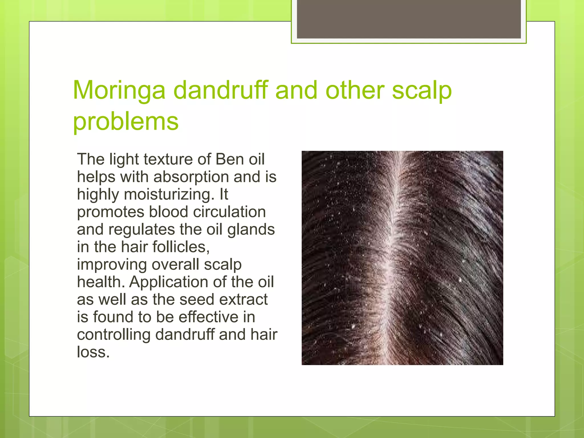 Facts about moringa oleifera by mr Allah Dad Khan Visiting professor he ...