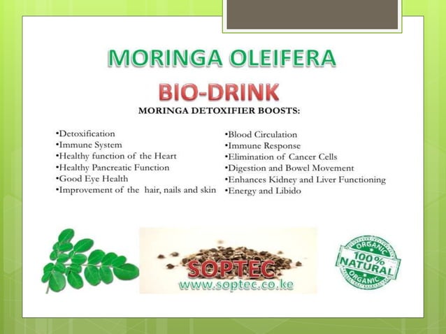 Facts about moringa oleifera by mr Allah Dad Khan Visiting professor he ...