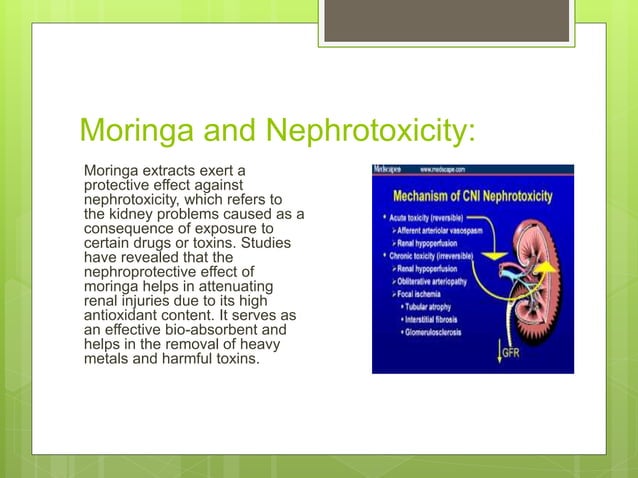 Facts about moringa oleifera by mr Allah Dad Khan Visiting professor he ...