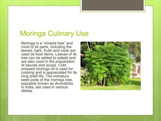 Facts about moringa oleifera by mr Allah Dad Khan Visiting professor he ...