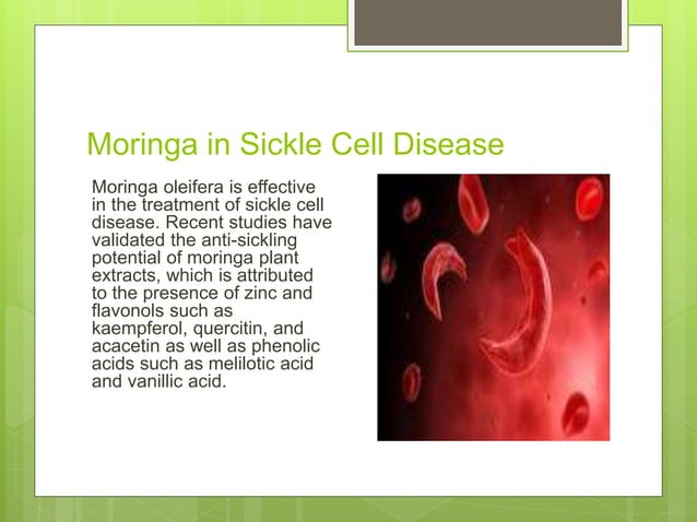 Facts about moringa oleifera by mr Allah Dad Khan Visiting professor he ...