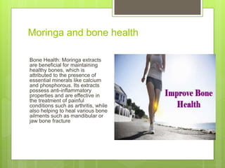 Facts about moringa oleifera by mr Allah Dad Khan Visiting professor he ...