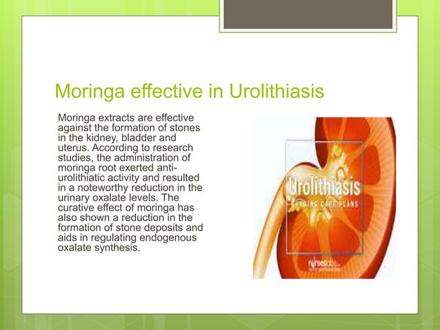 Facts about moringa oleifera by mr Allah Dad Khan Visiting professor he ...