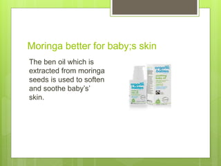 Facts about moringa oleifera by mr Allah Dad Khan Visiting professor he ...