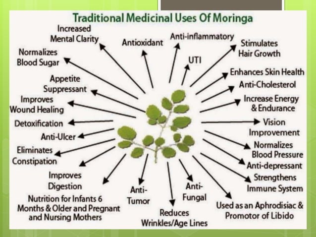 Facts about moringa oleifera by mr Allah Dad Khan Visiting professor he ...