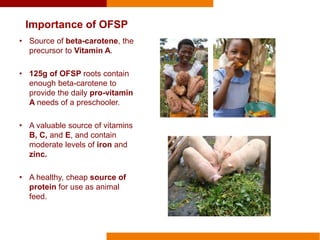 Facts about Orange-Fleshed Sweetpotato | PPTX