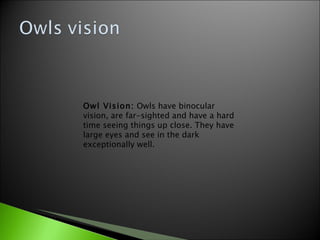 Facts about owls | PPT