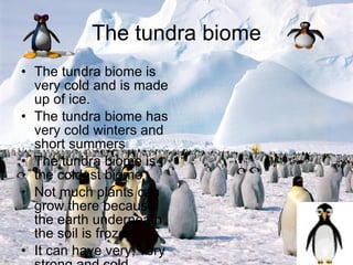Facts about penguins! | PPT