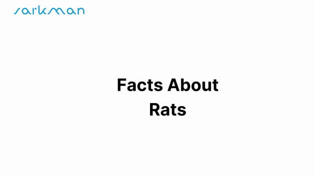 Facts About Rats | PPT