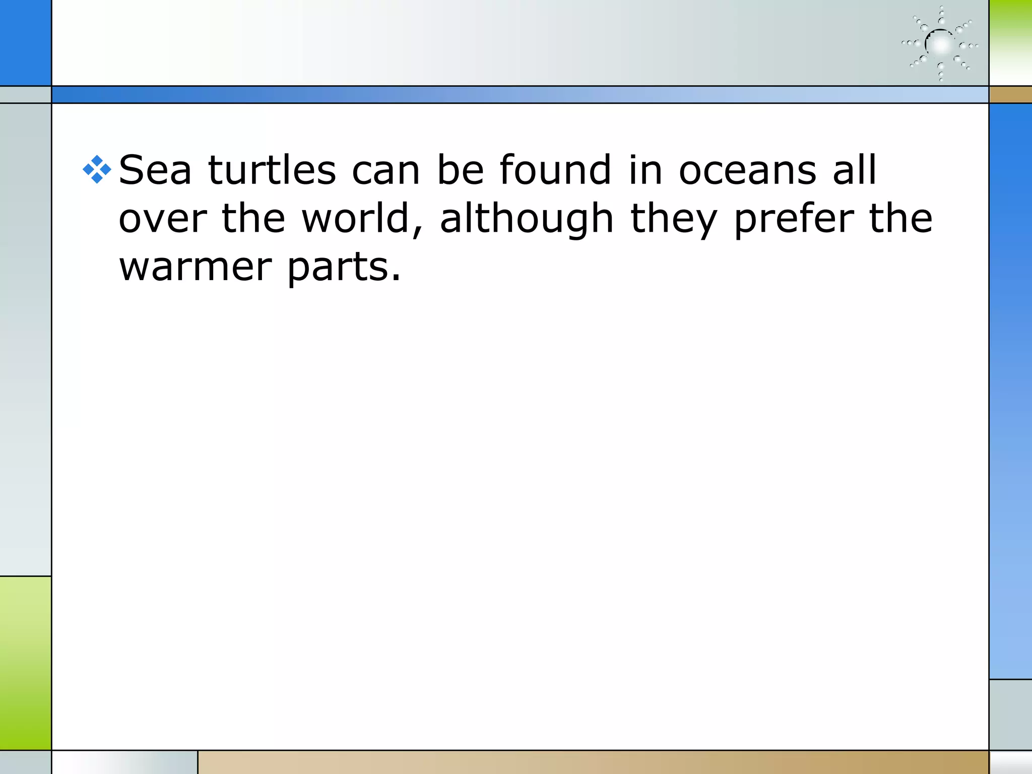 Facts about sea turtles | PPT