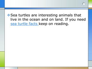Facts about sea turtles | PPTX