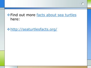 Facts about sea turtles | PPTX