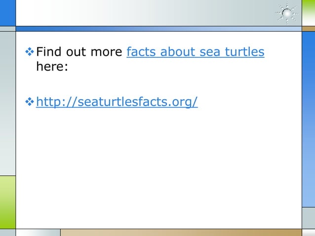 Facts about sea turtles | PPT