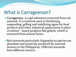 Facts About Seaweeds / Aida Andayog | PPTX