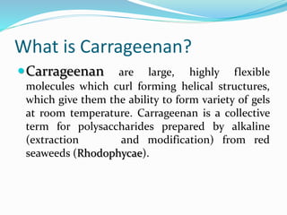 Facts About Seaweeds / Aida Andayog | PPTX