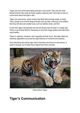 Facts About Tigers_ Characteristics, species, lifespan and More.pdf