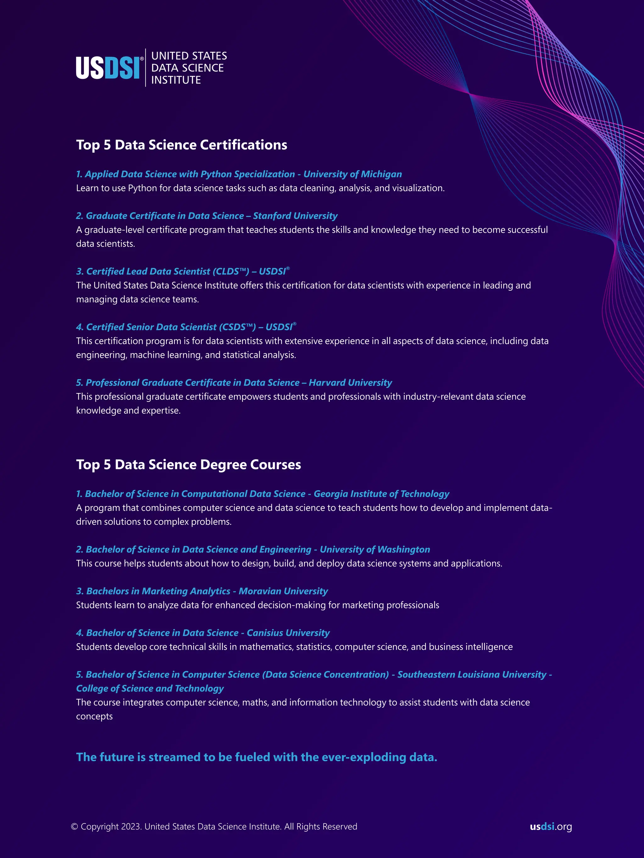 Factsheet: Data Science Careers in 2024 | PDF