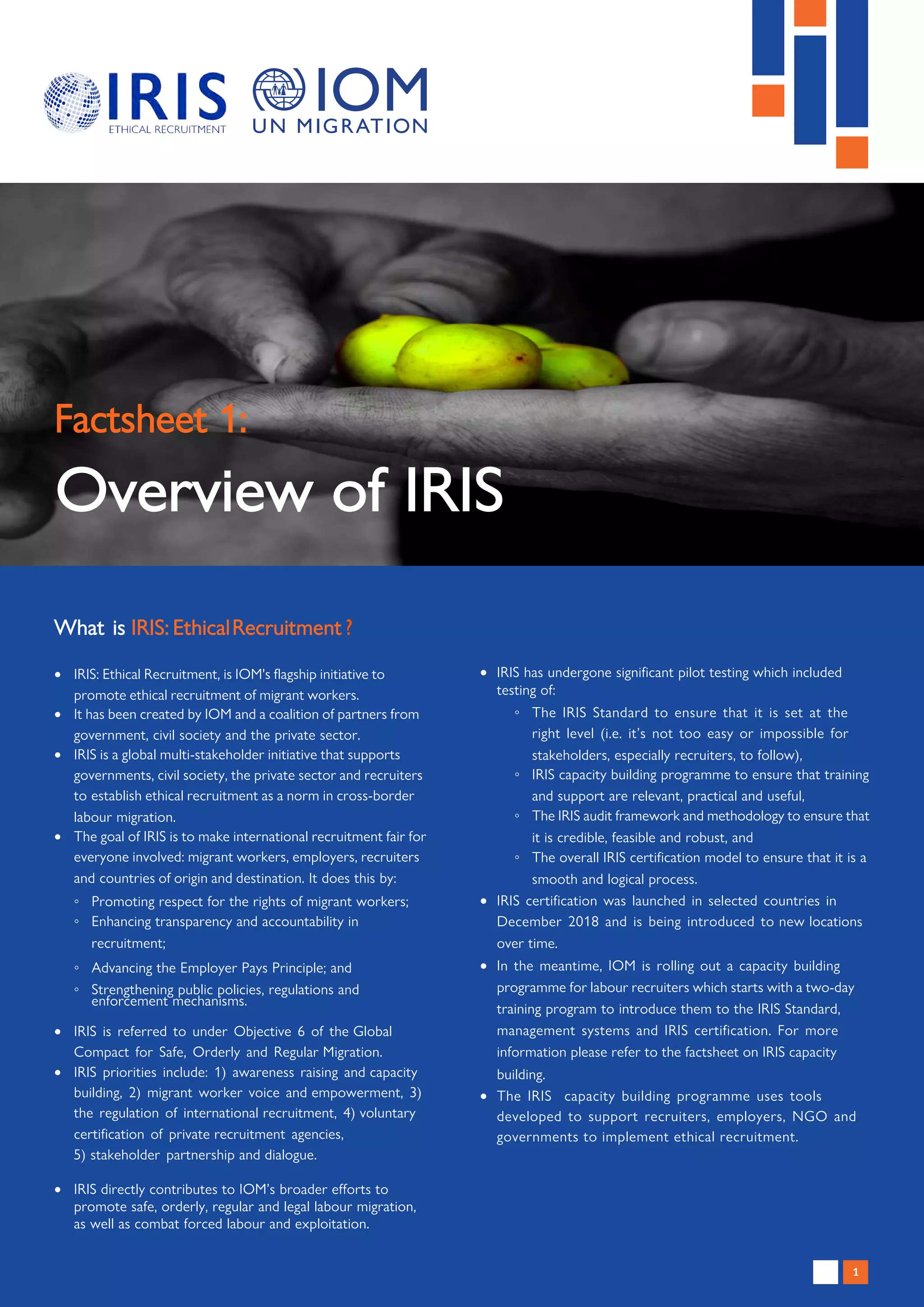 Taylor Amarel - Factsheet 1 - Overview of IRIS_2020.pdf