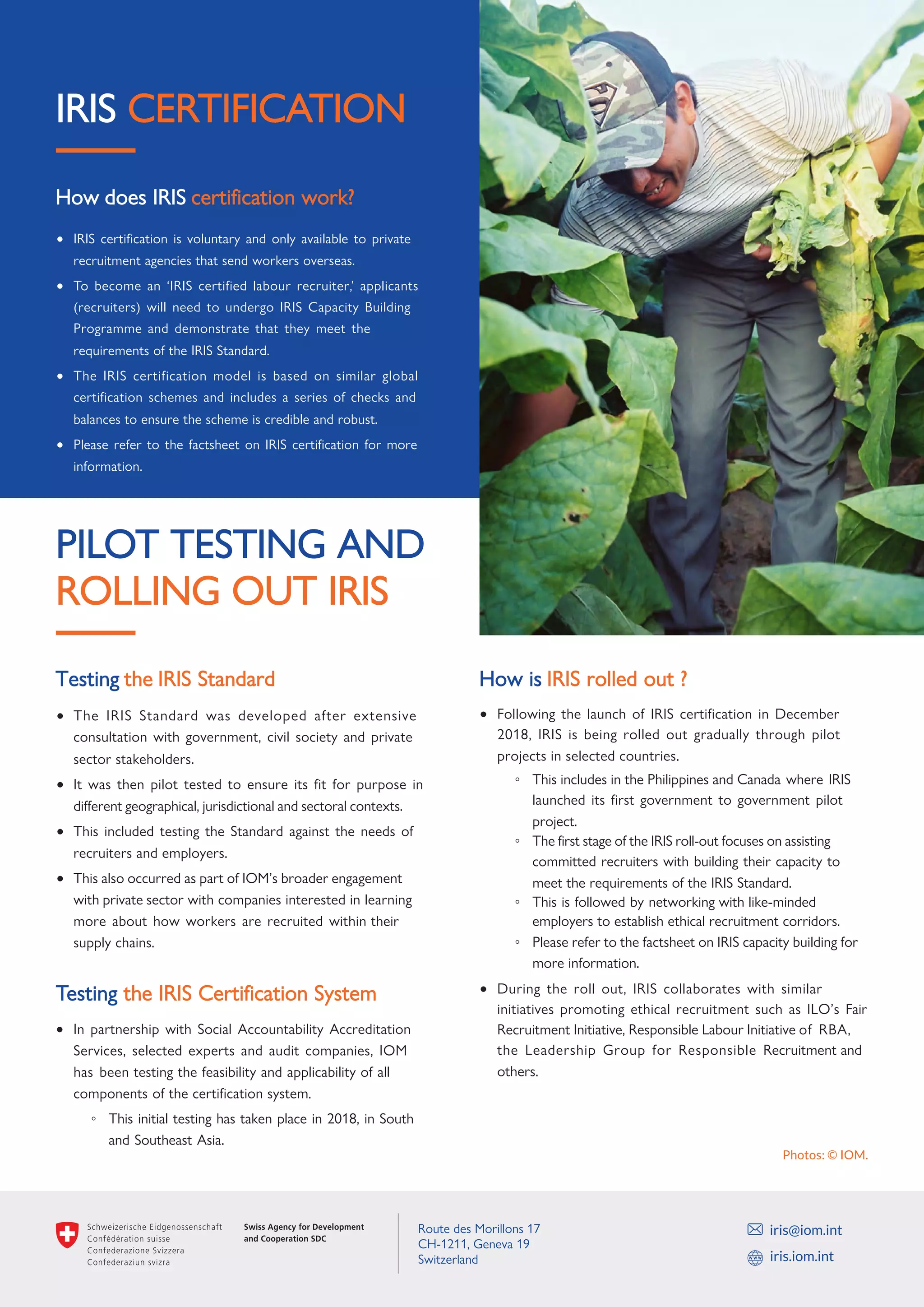 Taylor Amarel - Factsheet 1 - Overview of IRIS_2020.pdf