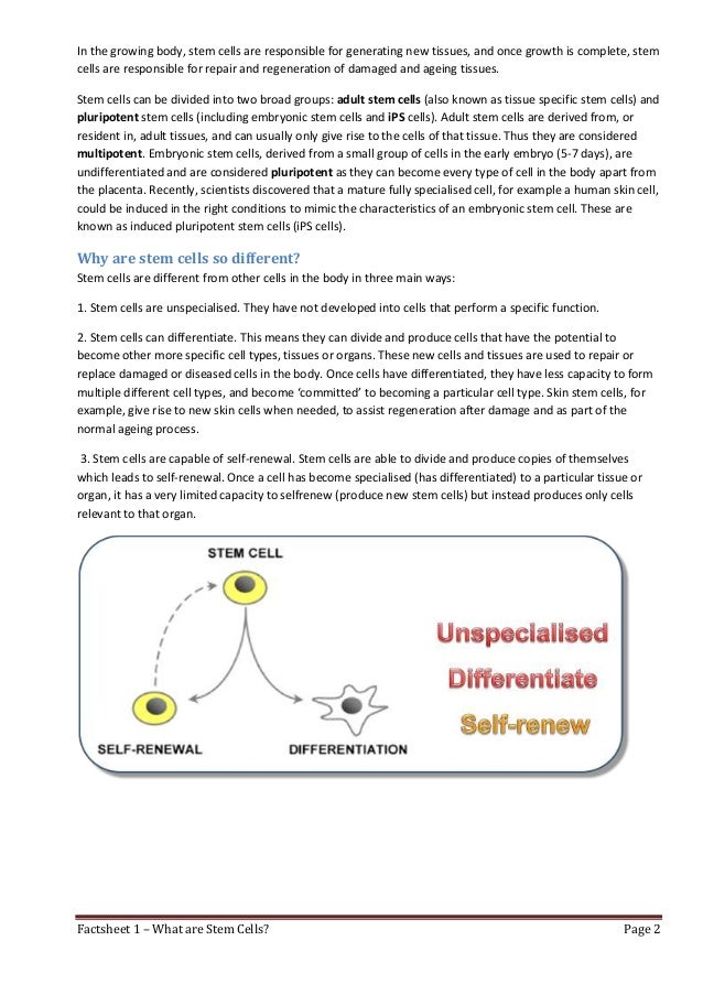 بيت المعرفة العامة: Fact sheet 1 what are stem cells from Regenerative ...