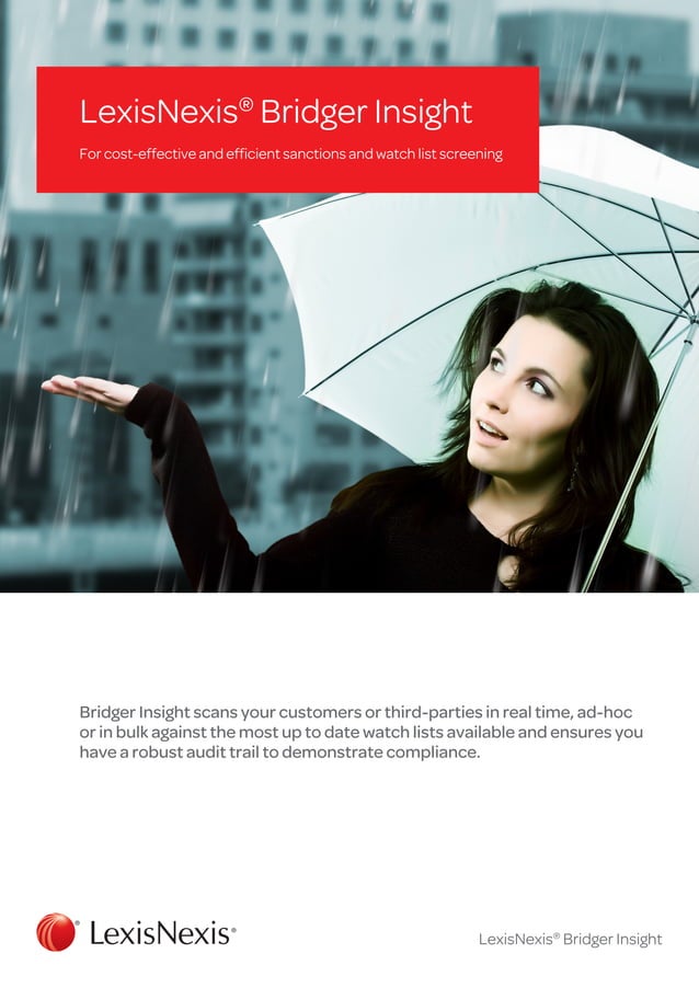 Brochure: Bridger Insight | PDF