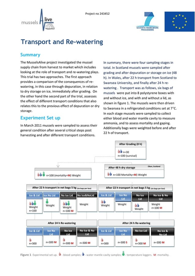 Training Fact Sheets Guide on grading, handling, transportation ...