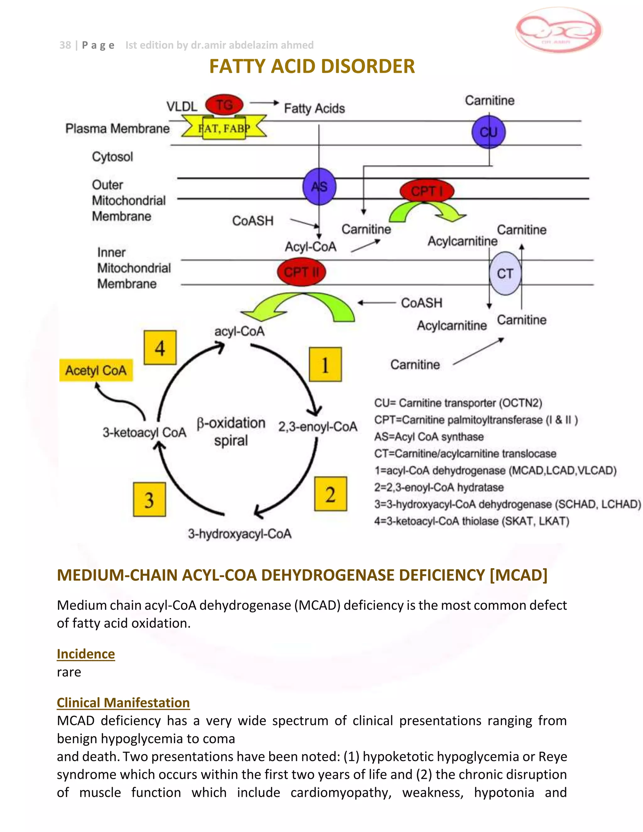 Fact sheets print | PDF