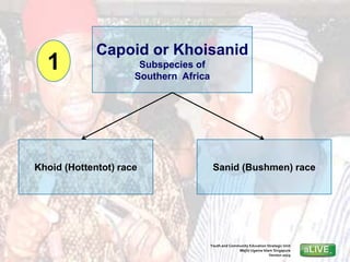 Teens 1, Activity 2: Facts of life | PPT