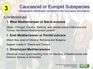 Teens 1, Activity 2: Facts of life | PPT