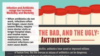 Antibiotics FACTS EVERYBODY SHOULD KNOW | PPTX