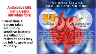 Antibiotics FACTS EVERYBODY SHOULD KNOW | PPTX