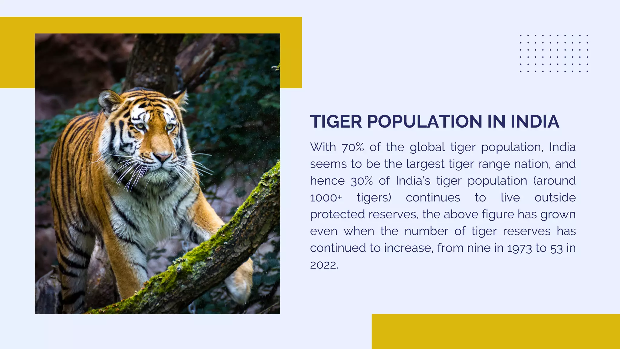 Facts You Must Know About Wildlife Sanctuaries In India.pdf