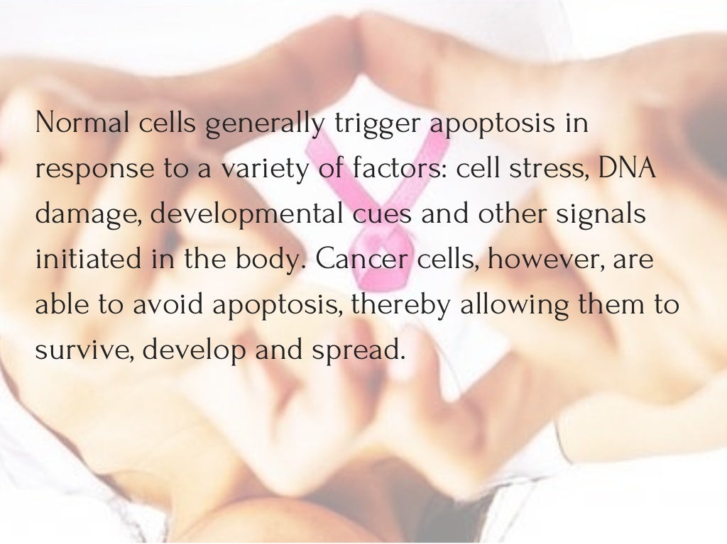 Facts You Should Know About Cancer