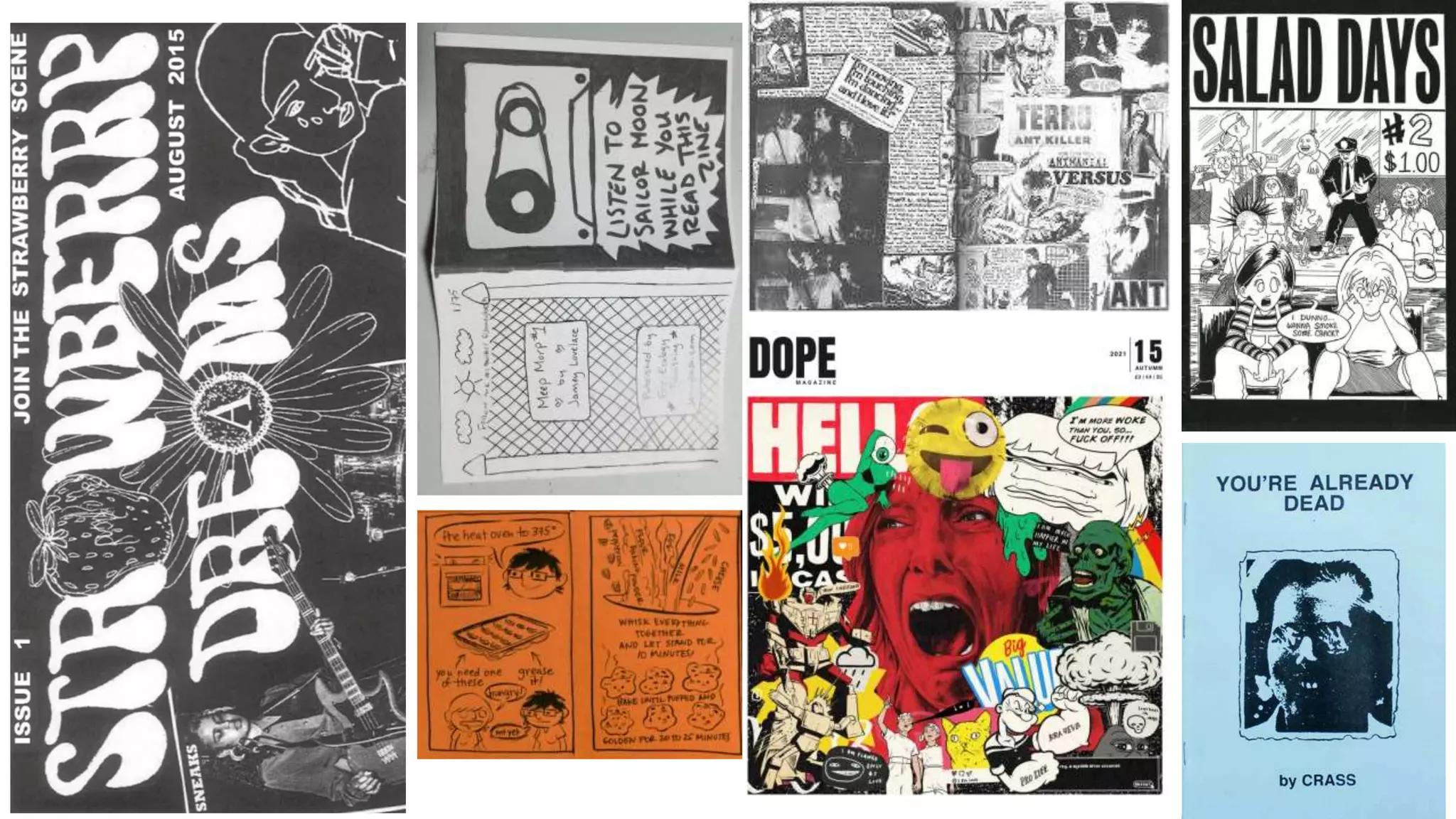 Factual development and planning pro forma | PPT