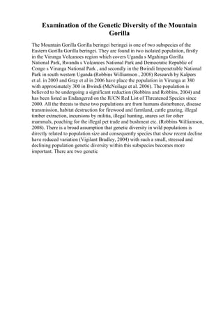 Factual Essay Example.pdf