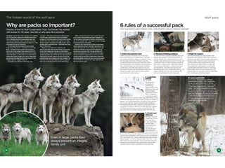 Factual writing | PPTX