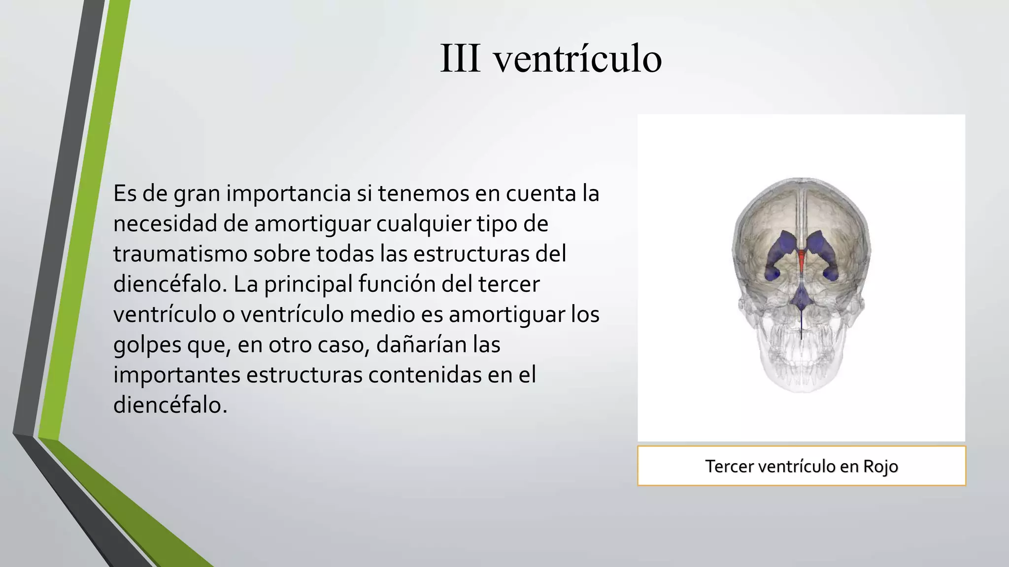 ventrículos cerebrales - FCM | PPTX